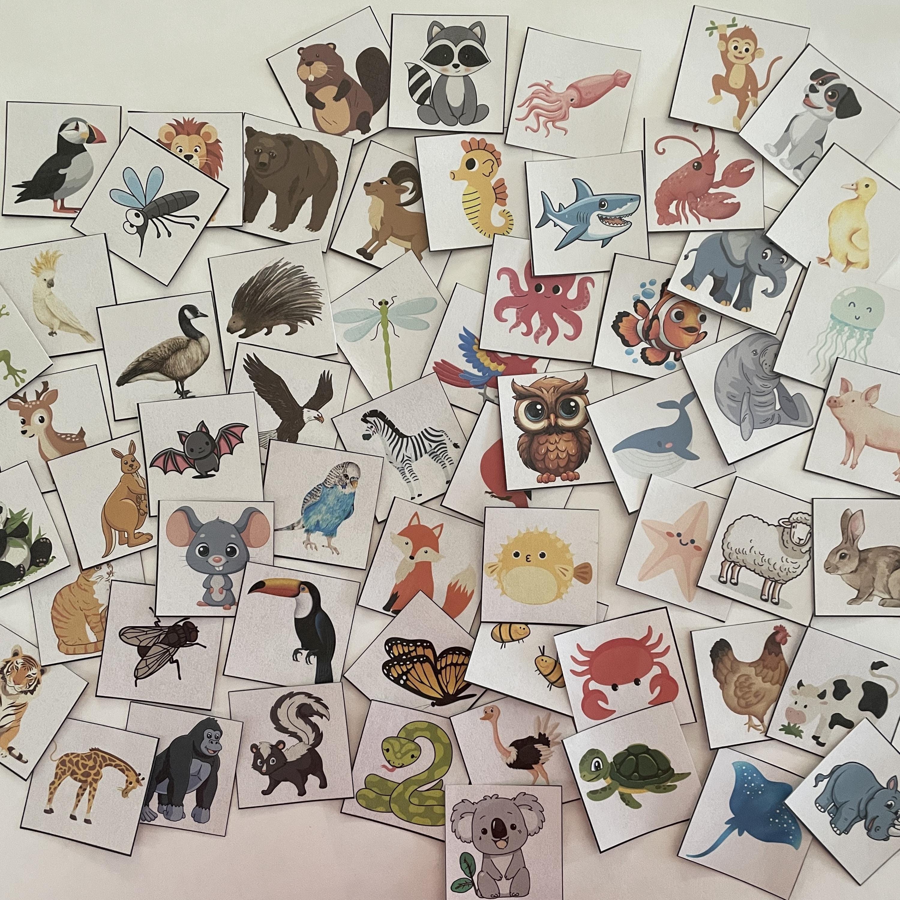 Flisat Habitat Sorting Insert, Animal Habitats (PDF Pattern) - Etsy