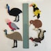 Australian Birds Felt Board Pattern PDF Downloadable Pattern Only - Etsy