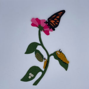 Butterfly Life Cycle Felt Board Pattern – Interactive Science (DIY ...