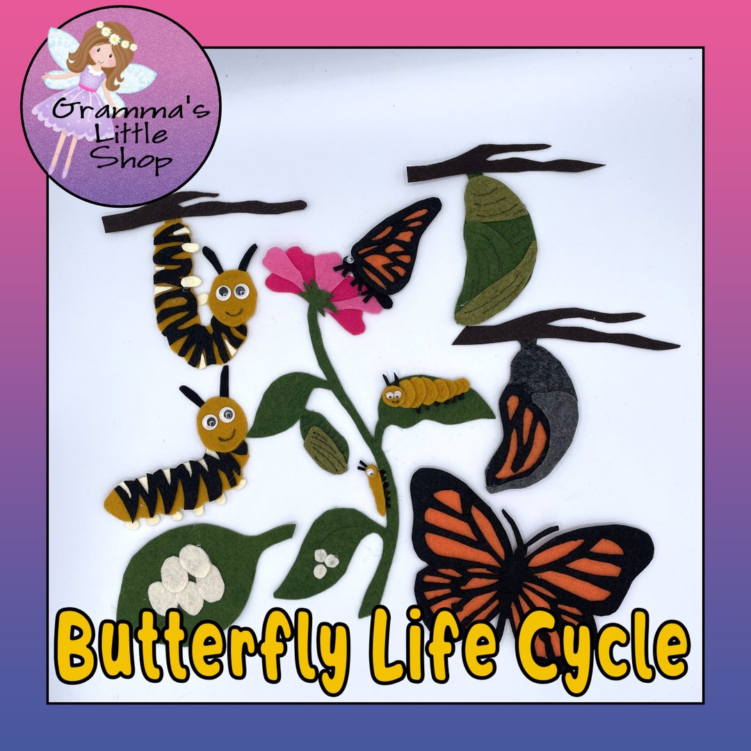 Butterfly Life Cycle Felt Board Pattern – Interactive Science (DIY ...