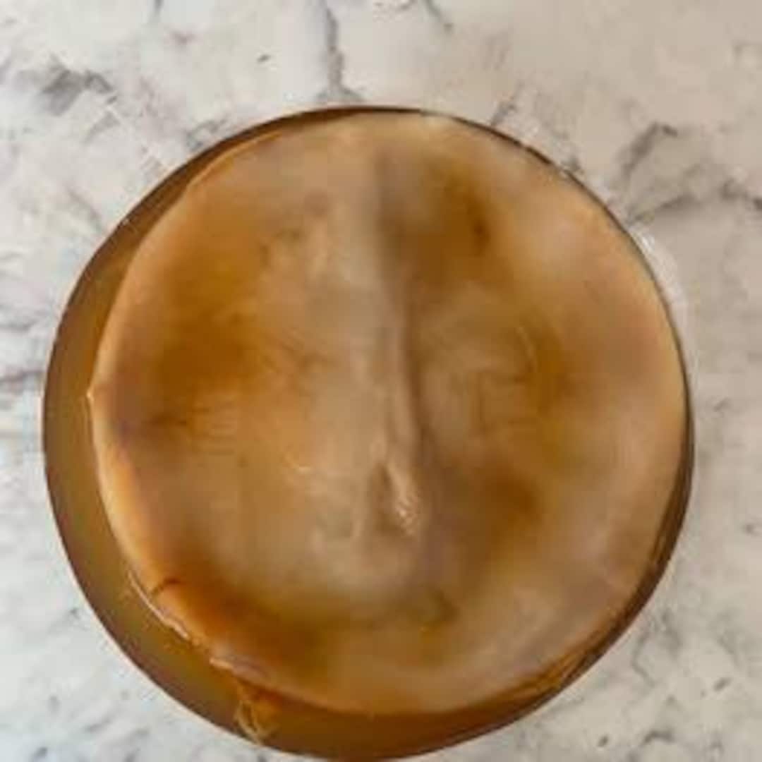 FREE SHIP! Kombucha SCOBY & Starter Tea - Etsy