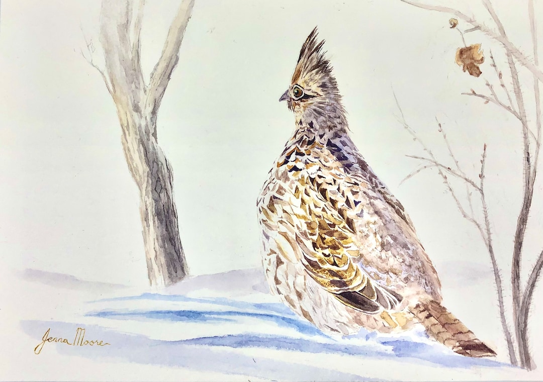 Original 8x10 Watercolor Bird Painting, Ruffed Grouse Painting, Game ...