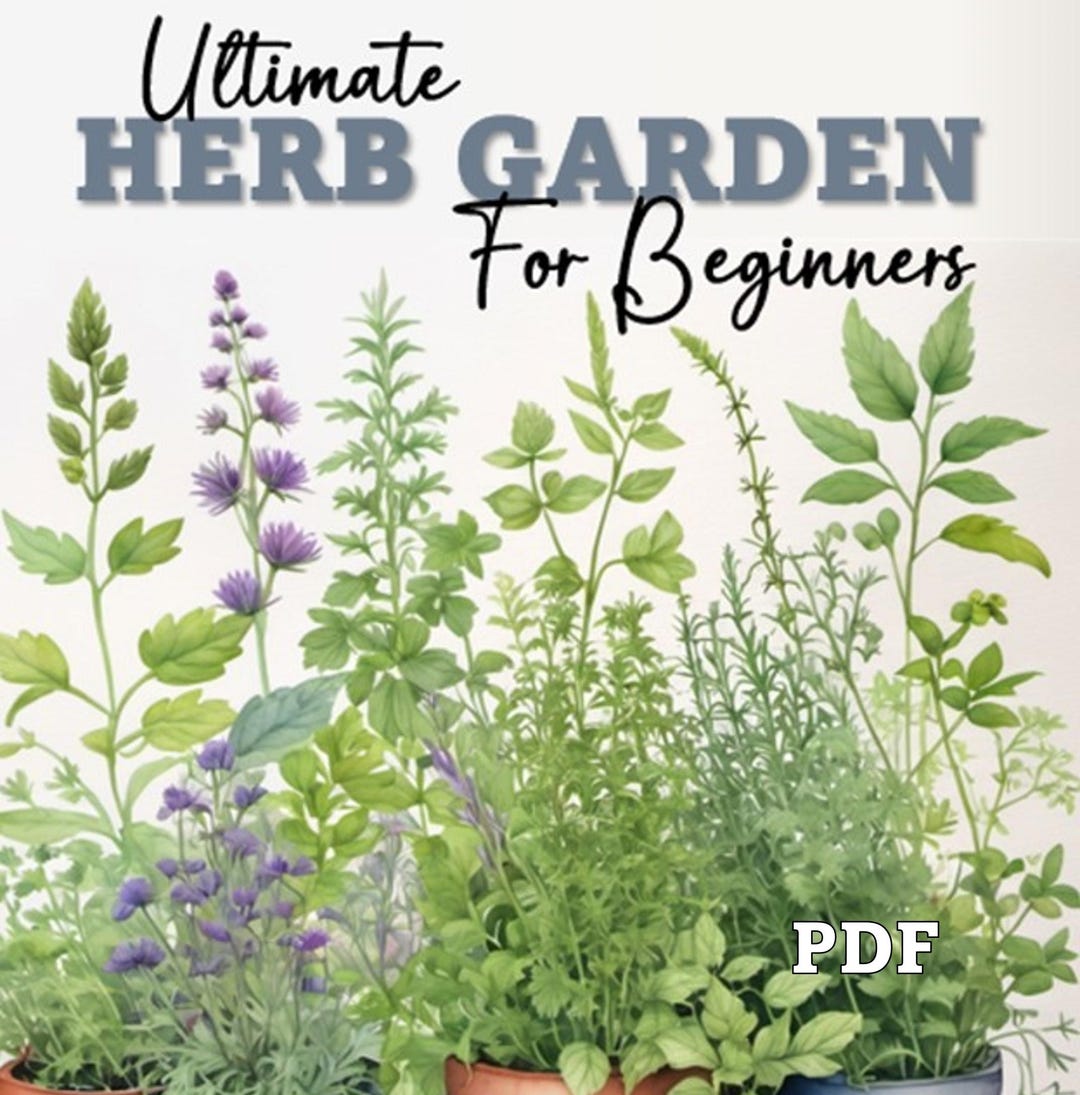 Ultimate Herb Garden for Beginners - Etsy