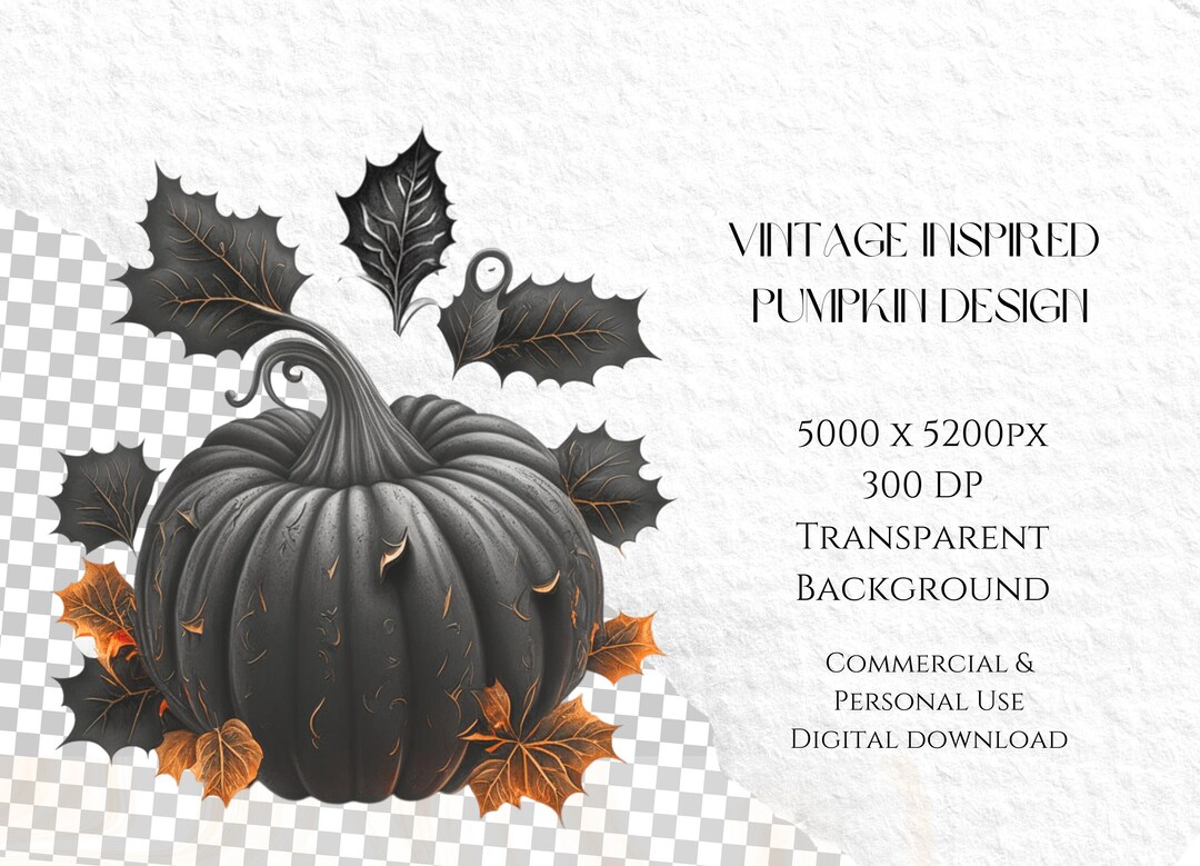 Black Pumpkin Fall Graphic SVG PNG Sublimation Design for - Etsy
