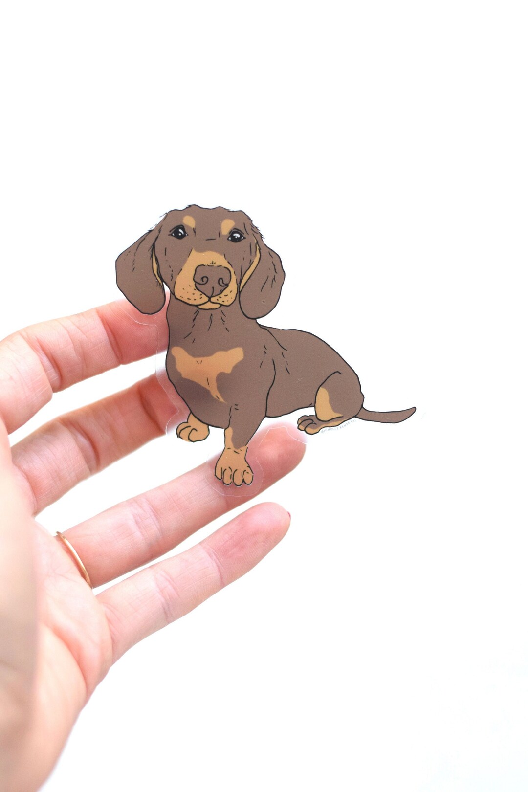 Dachshund Sticker | Clear Vinyl Sticker | Laptop Sticker | Water Bottle ...