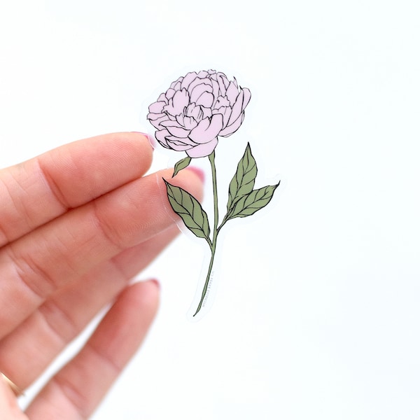 Peony Sticker - Etsy