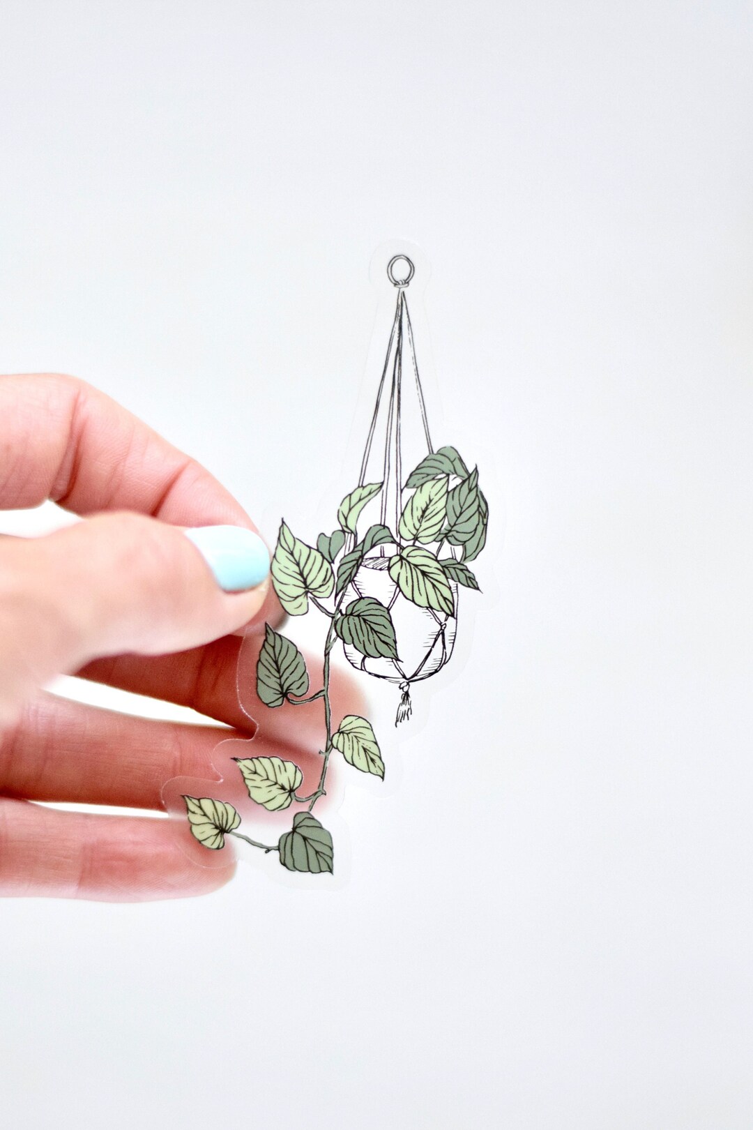 Hanging Plant Sticker | Clear Vinyl Sticker | Laptop Sticker | Water ...