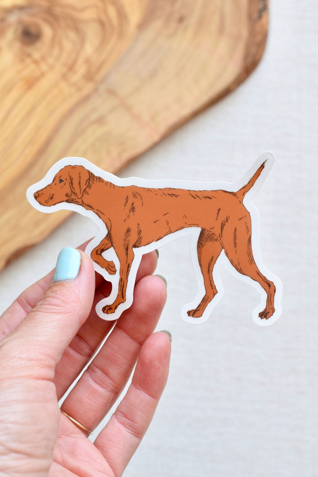 Vizsla Dog Sticker | Clear Vinyl Sticker | Laptop Sticker | Water ...