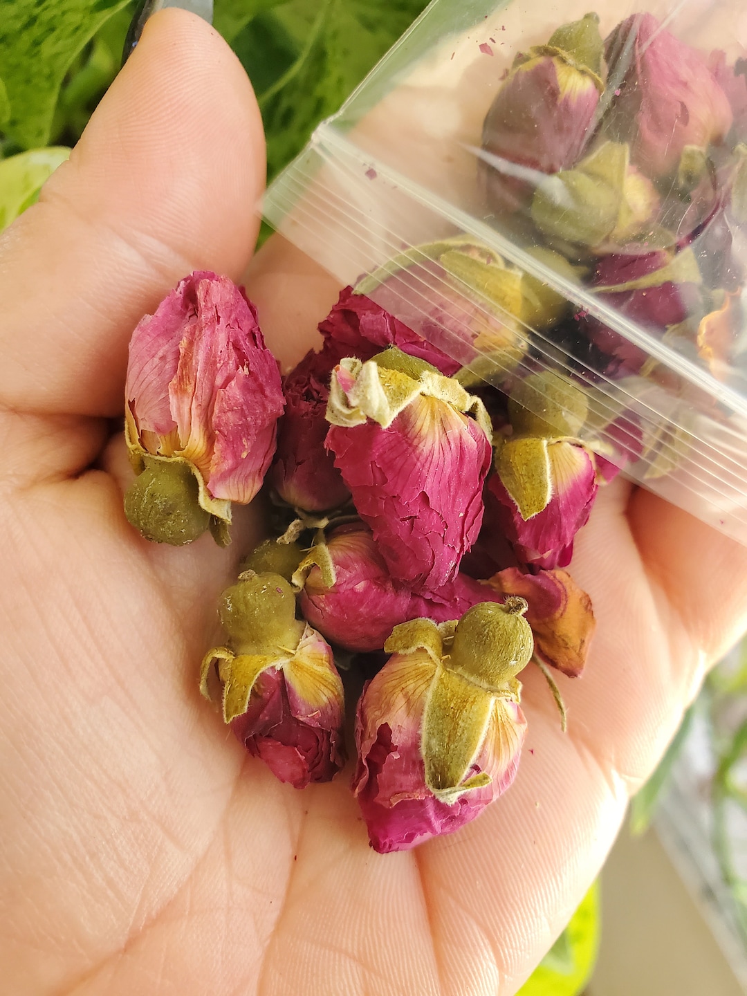 Rosebuds / Dried Roses/ Dried Mini Roses/ Spellwork/ Witchcraft/ Spell ...