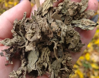 Patchouli Leaf Pogostemon Cablin 100% Natural Herbal Tea Leaves Paczula ...