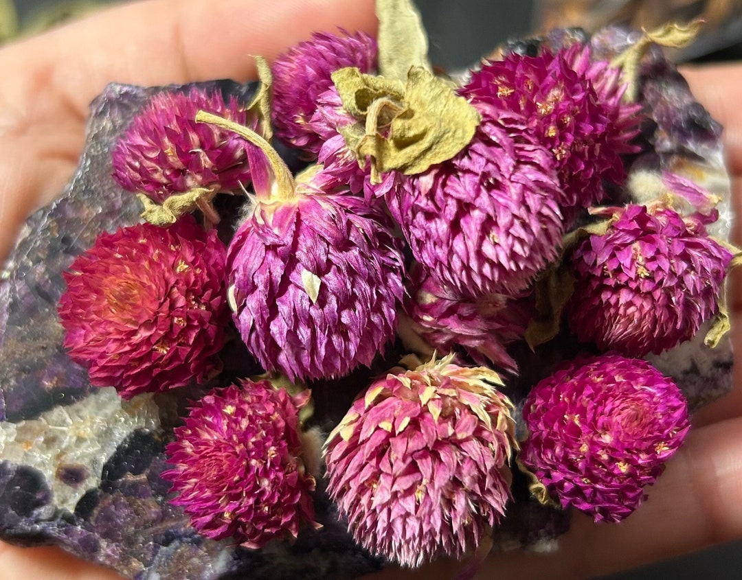 Amaranth flower/ herbs/ apothecary/ metaphysical supplies/ ritual bath ...