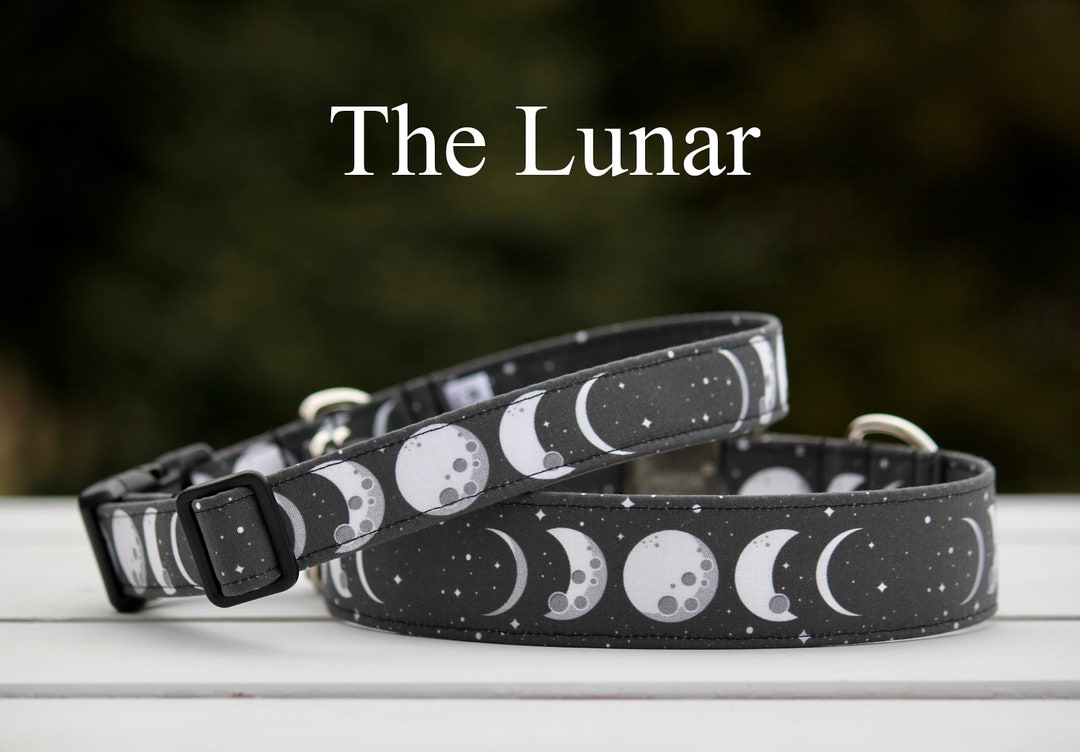 Moon Dog Collar Space Dog Collar MED-XL Collar Martingale Collar ...