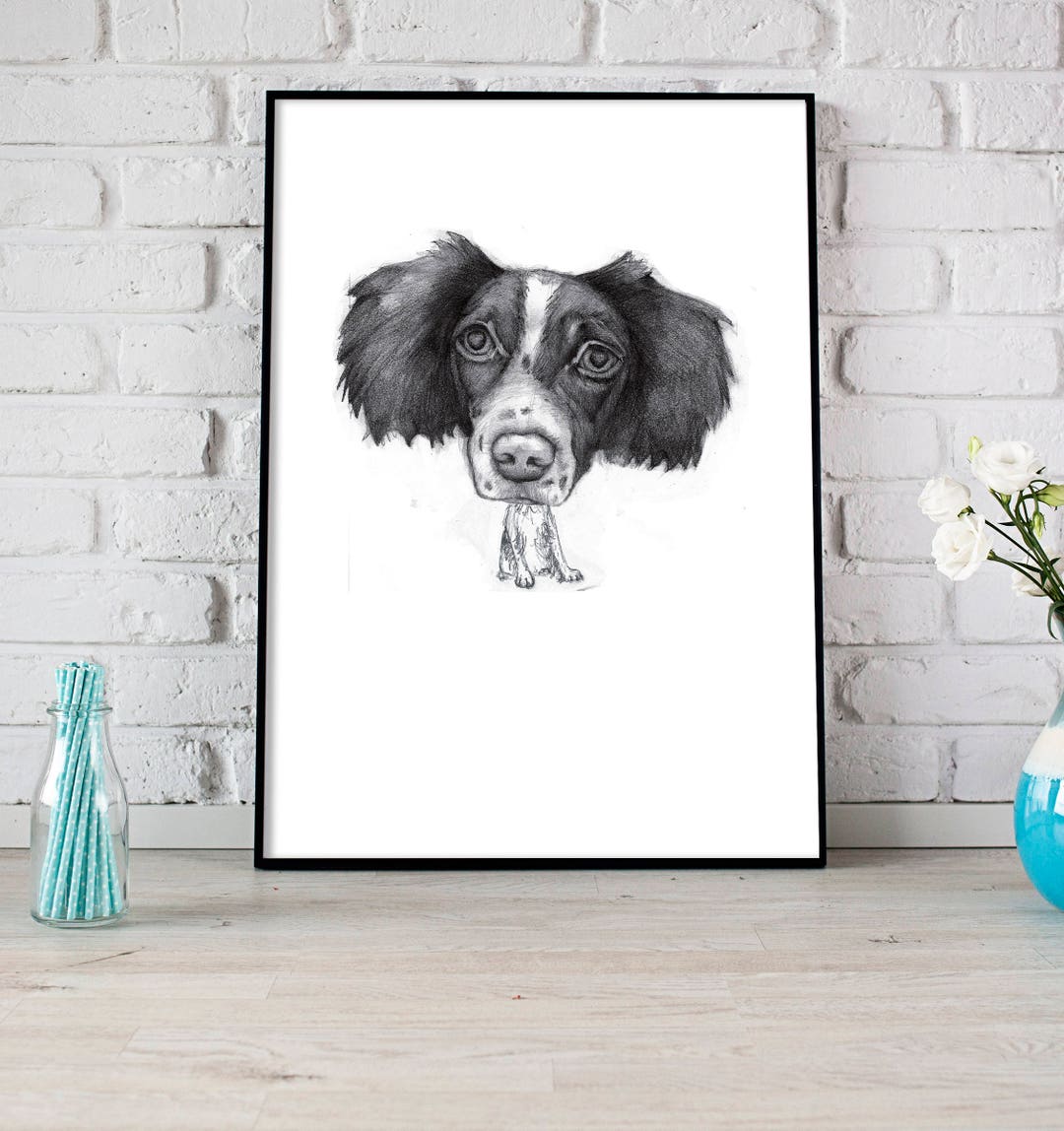 Pet Gift, Springer Spaniel Prints, Dog Wall Art, Spaniel Illustration ...