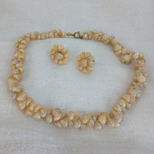 Trochus Shell - Etsy