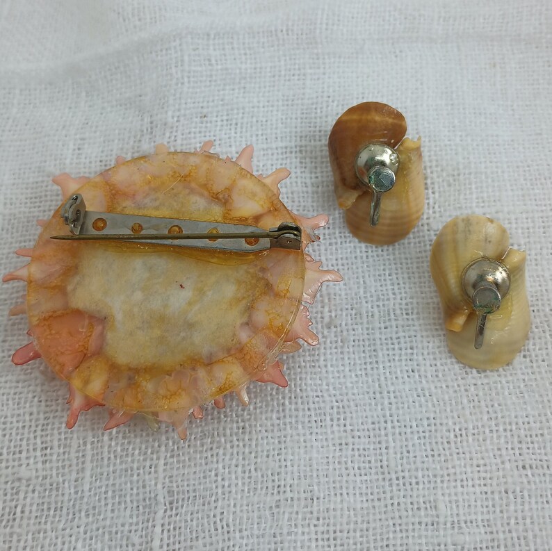 Vintage Peach and White Tropical Shell Brooch and Earrings - Etsy