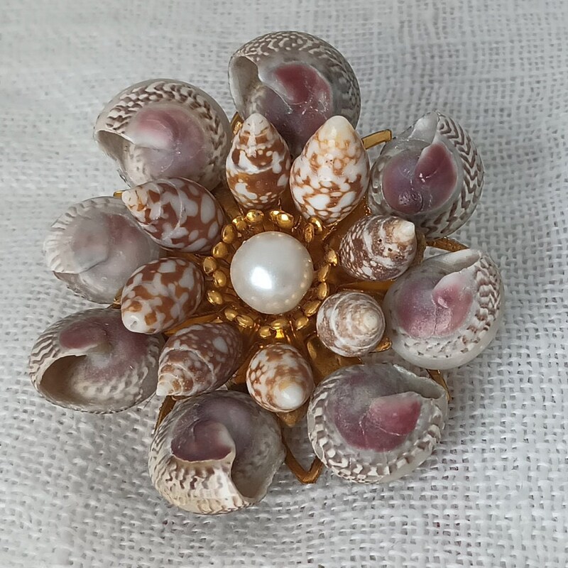 Seashell Brooch - Etsy