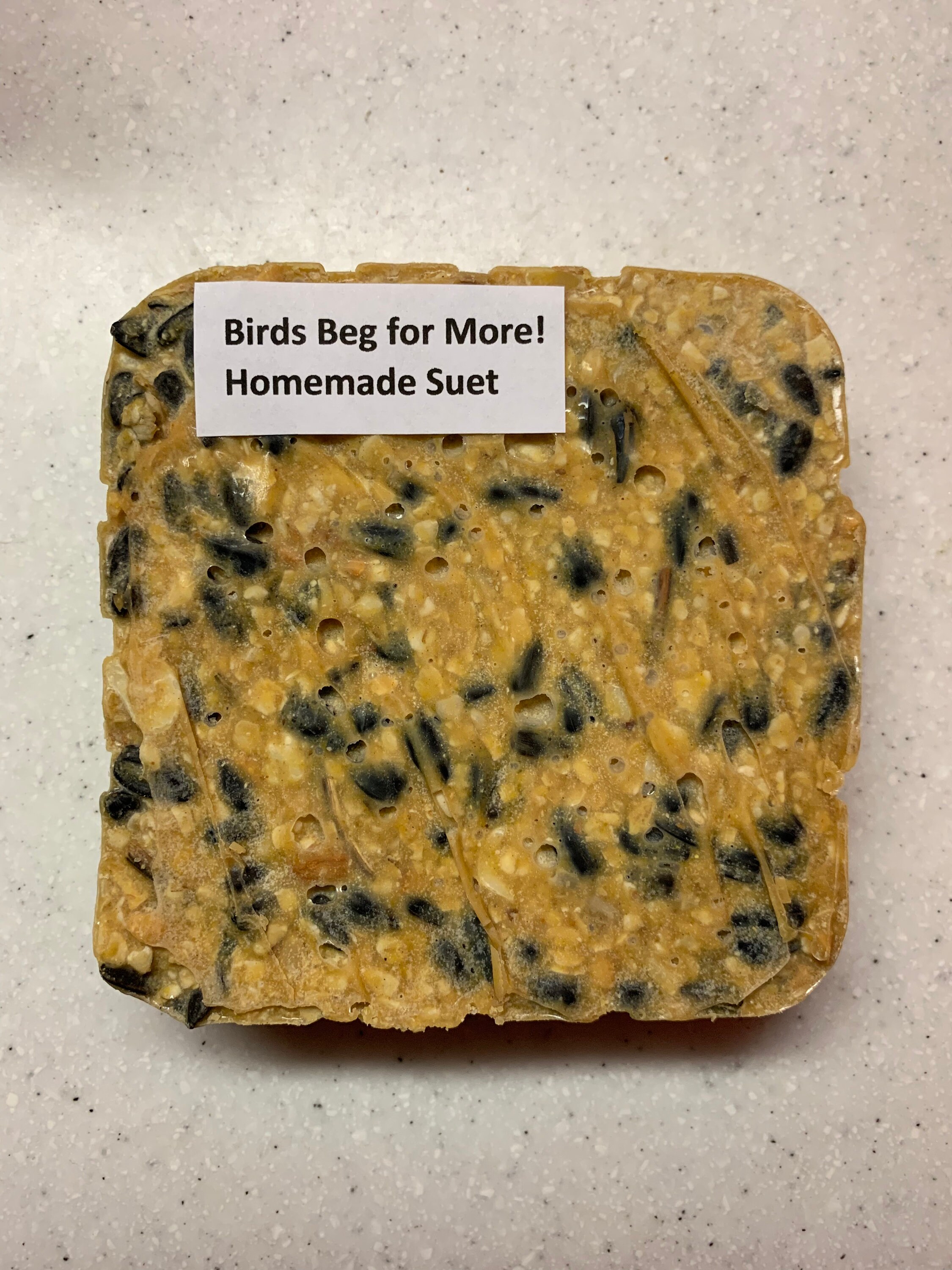 Birds Beg for More Suet - Etsy