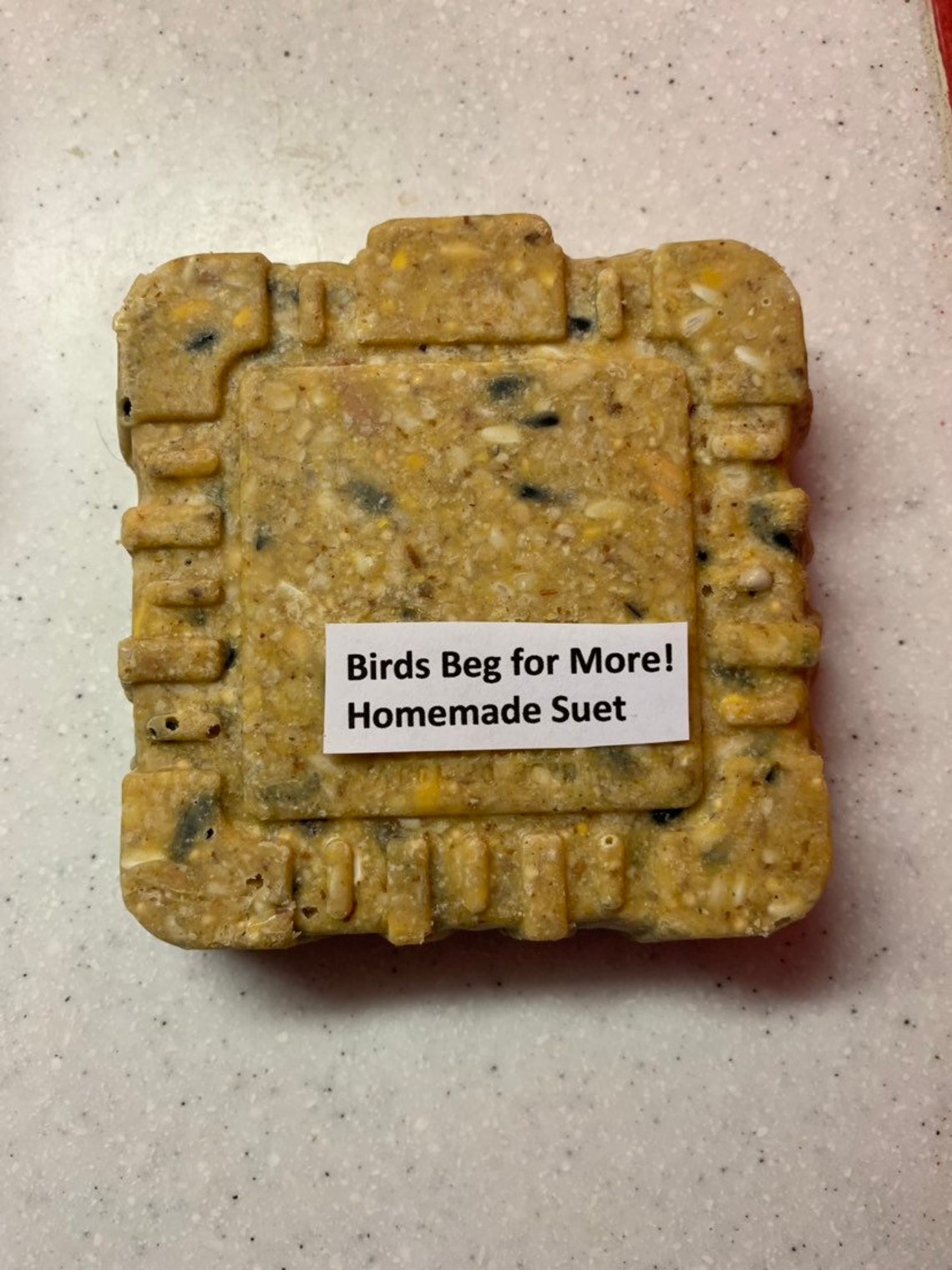 Birds Beg for More Suet - Etsy
