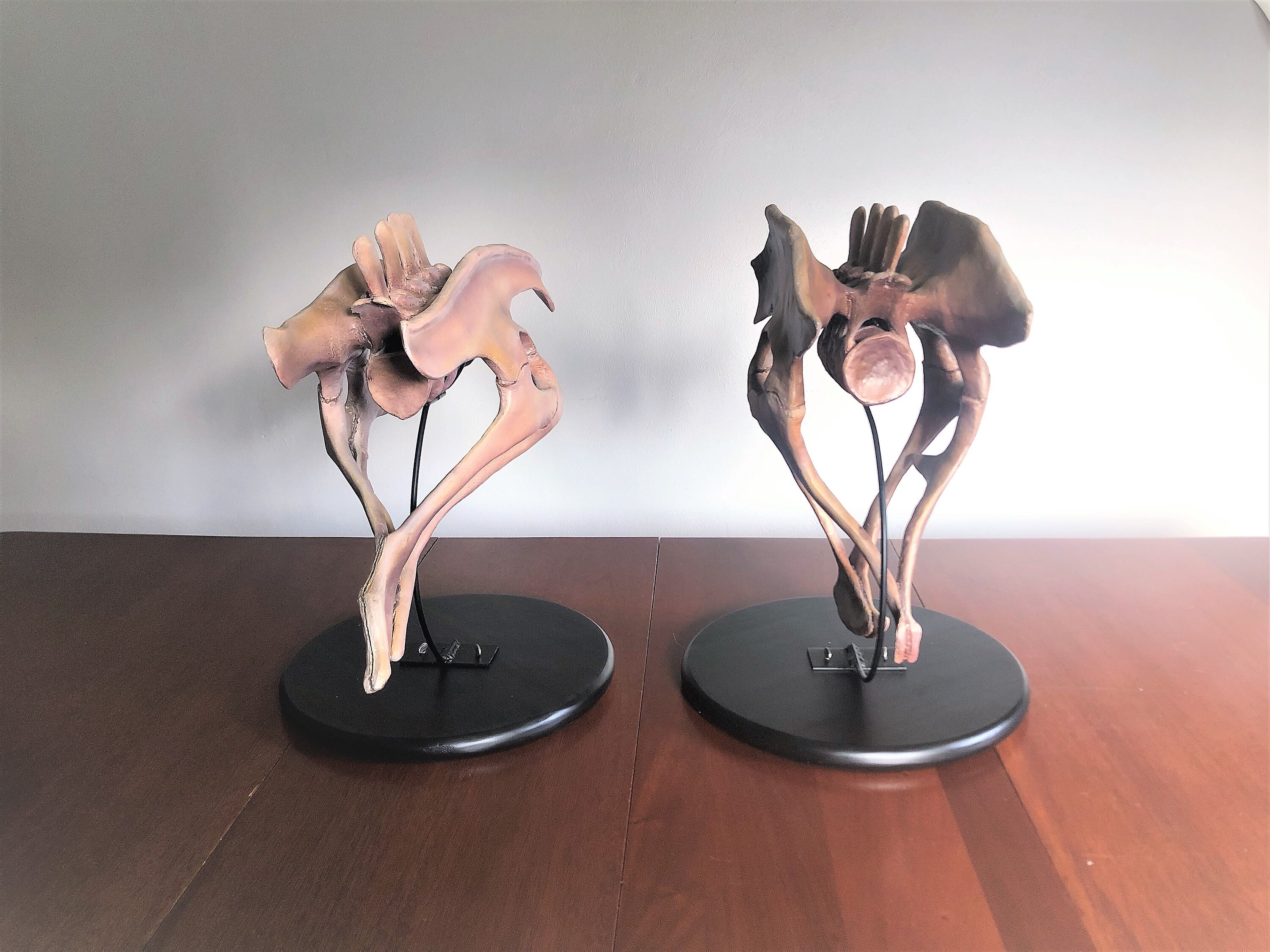 Dinosaur Hip Display - Etsy