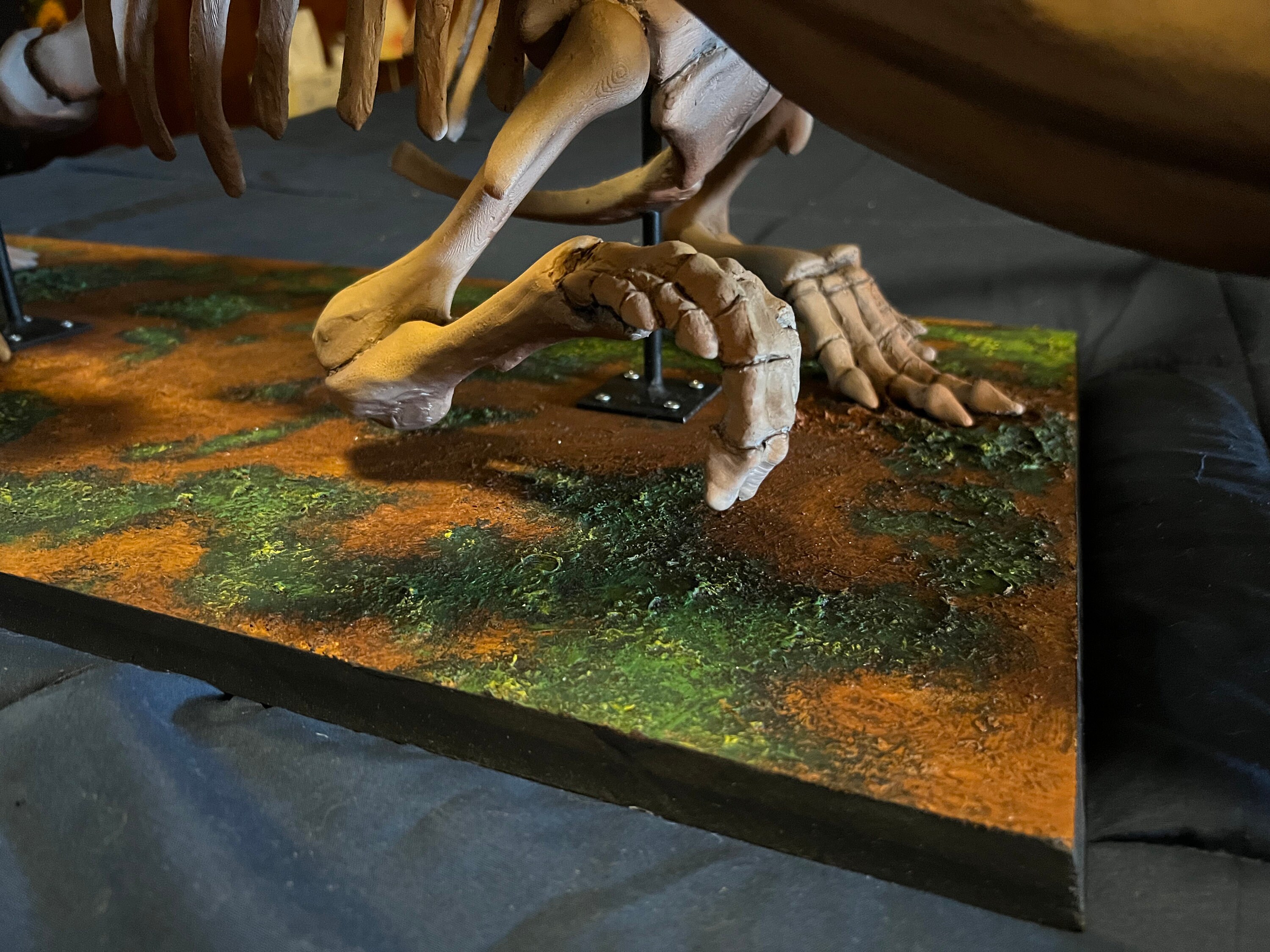 Protoceratops Skeleton - Etsy