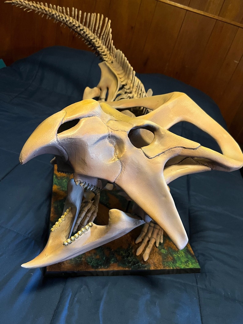 Protoceratops Skeleton - Etsy