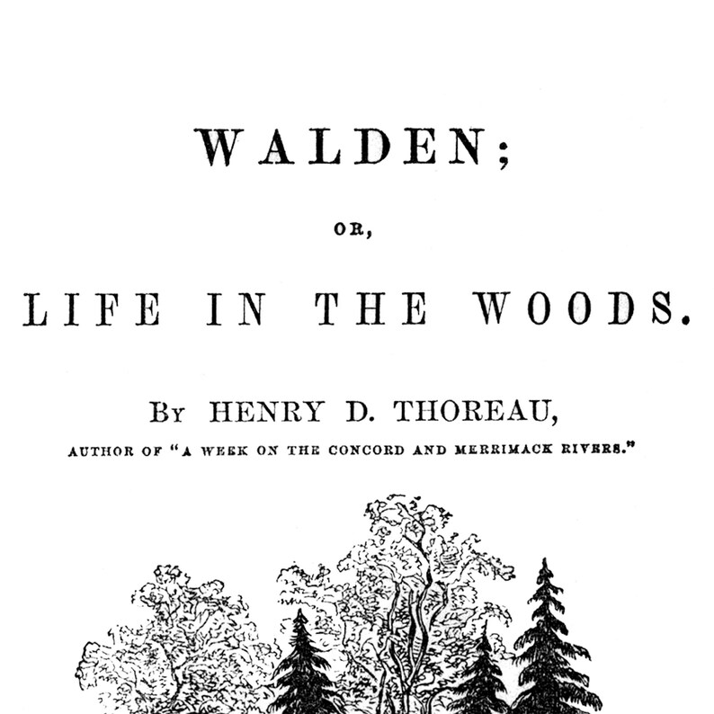 Walden, Henry David Thoreau, Thoreau, A4, First Edition, INSTANT ...