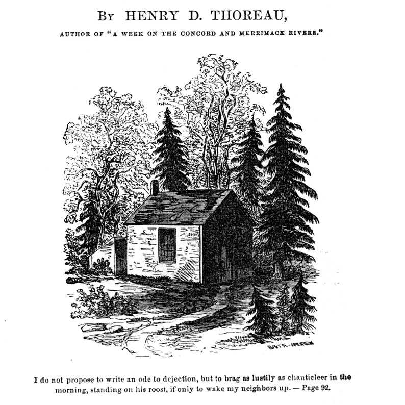 Walden, Henry David Thoreau, Thoreau, A4, First Edition, INSTANT ...