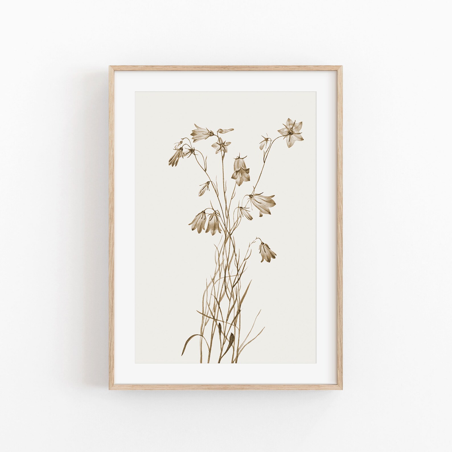 Floral Decor Set of 3, Nature Poster, Minimalist Gallery Wall, Flowers ...