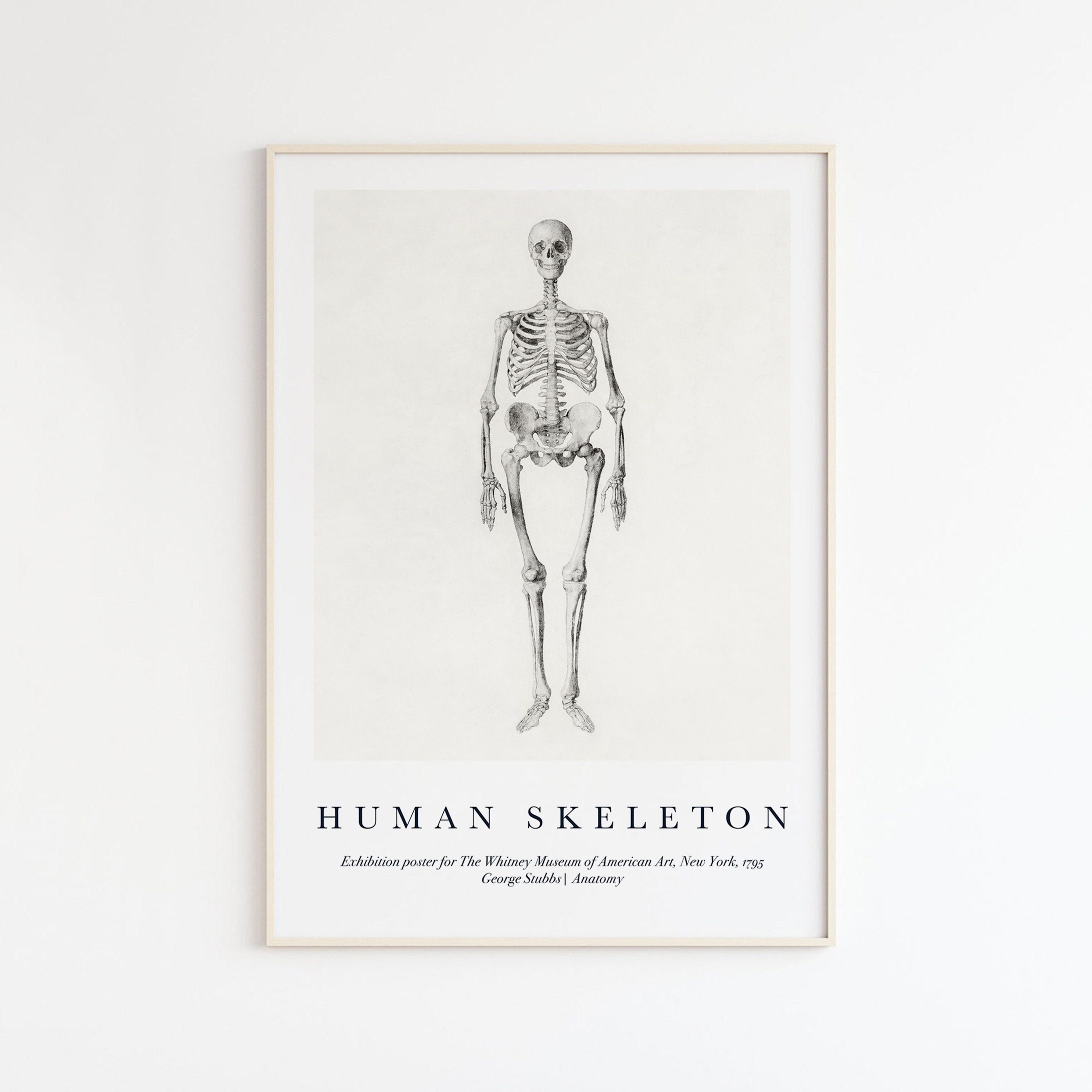 Anatomy Art Poster Anatomy Medical Gift Abstract Poster - Etsy