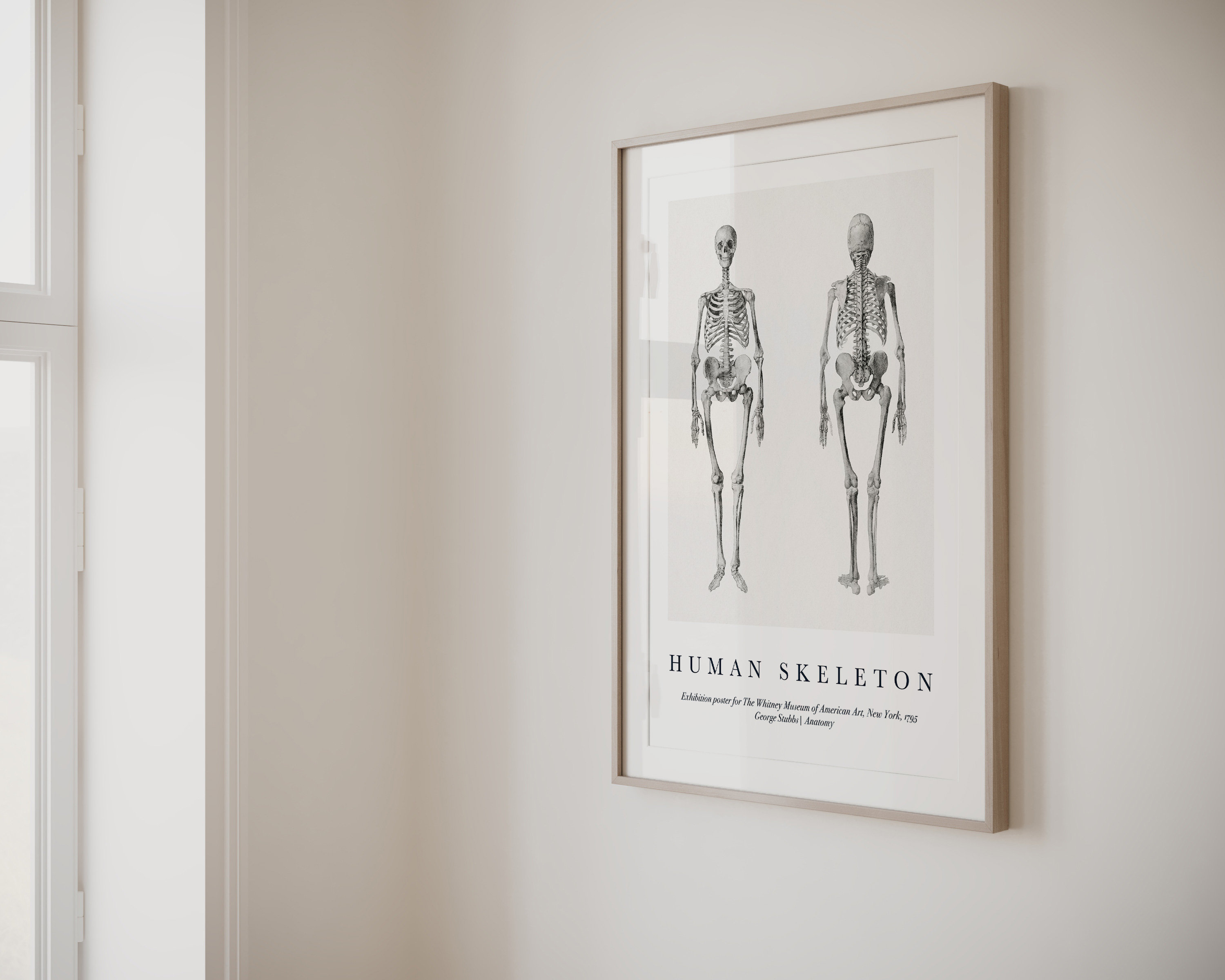 Anatomy Art Poster , Anatomy Medical Gift, Abstract Poster, Wall Art ...