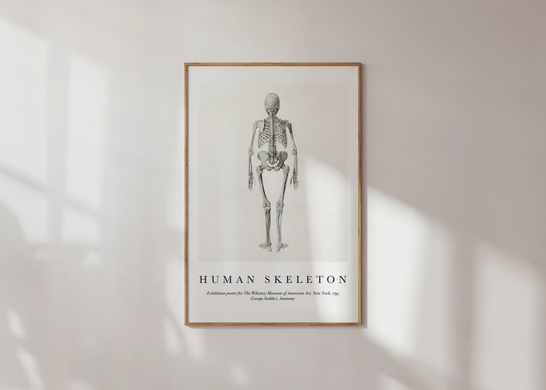 Anatomy Art Poster , Anatomy Medical Gift, Abstract Poster, Wall Art ...