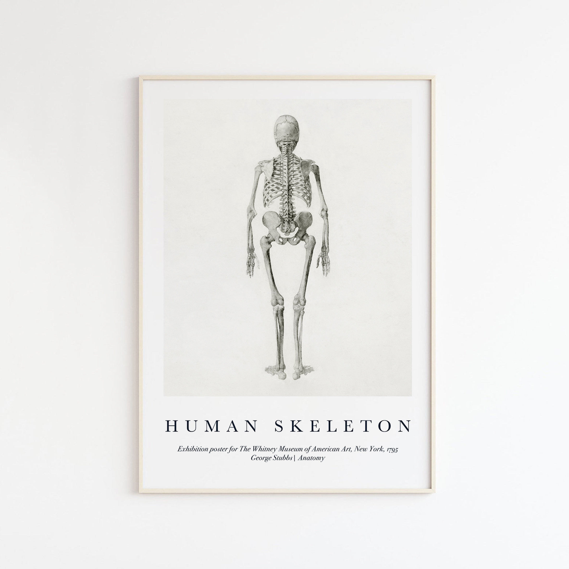 Anatomy Art Poster Anatomy Medical Gift Abstract Poster - Etsy