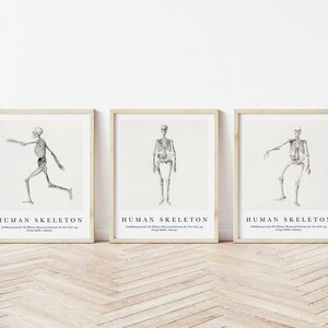Anatomy Poster Set of 3, Medical Poster, Minimalist Gallery Wall ...