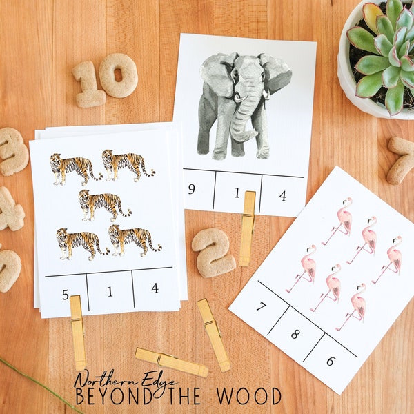 Counting Flash Cards - Etsy