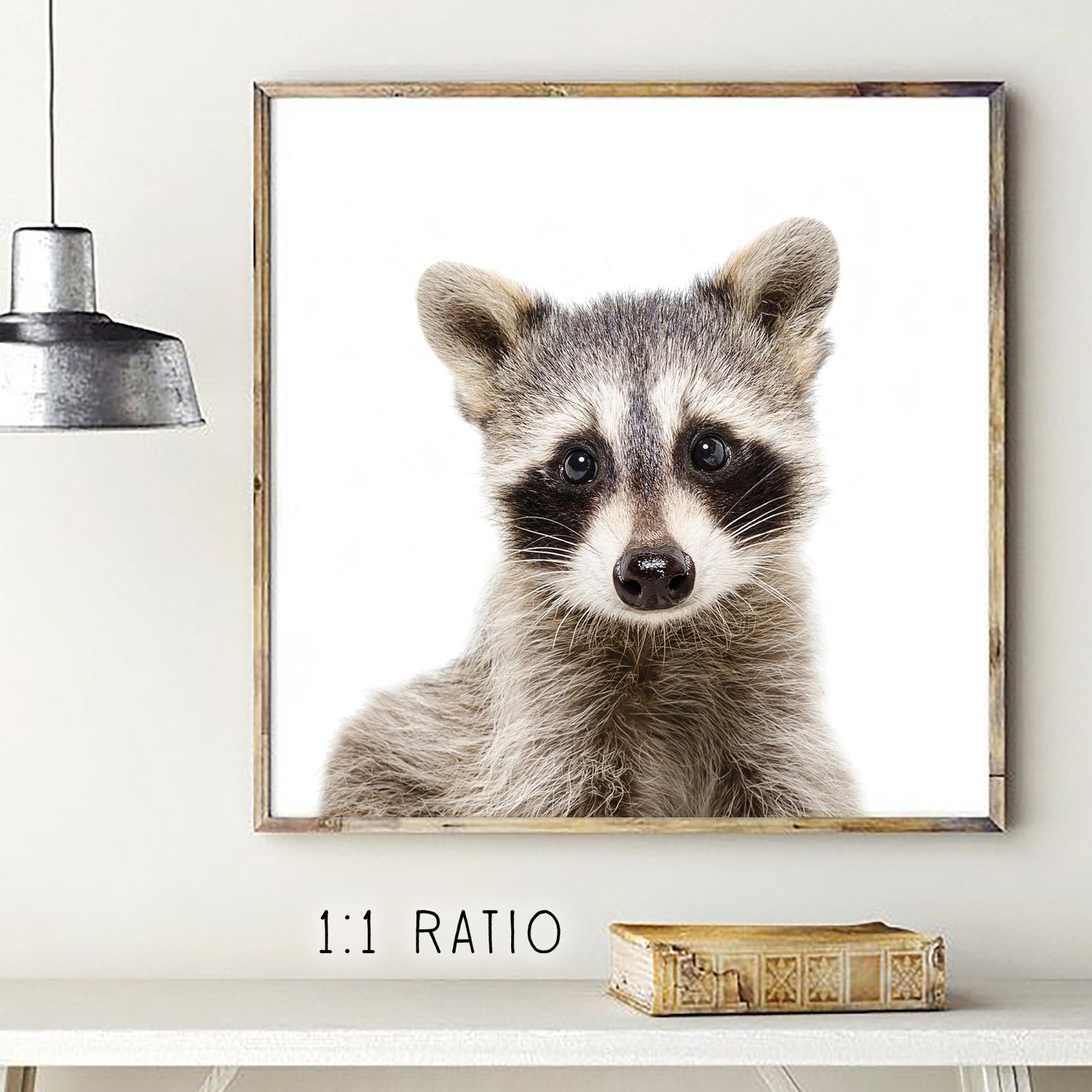 Raccoon Print Raccoon Art Printable Raccoon Forest Print - Etsy