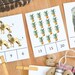 Zoo Animal Clip Flash Card, Montessori Counting Printable, Educational ...