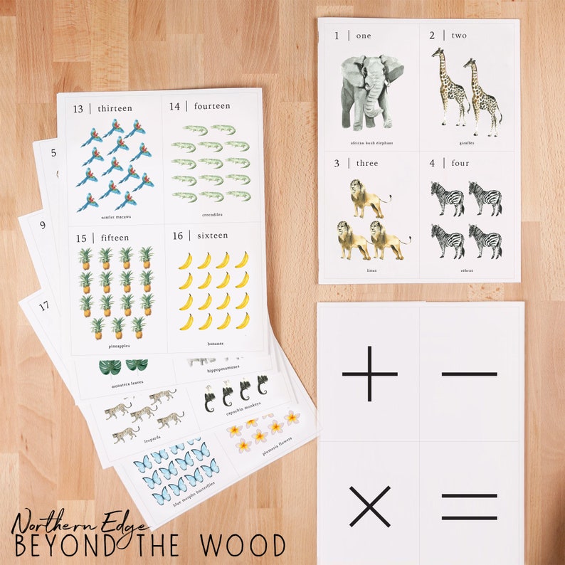 Zoo Animal Numbers 1-20 Flash Cards Montessori Counting - Etsy