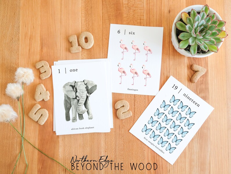 Zoo Animal Numbers 1-20 Flash Cards Montessori Counting - Etsy