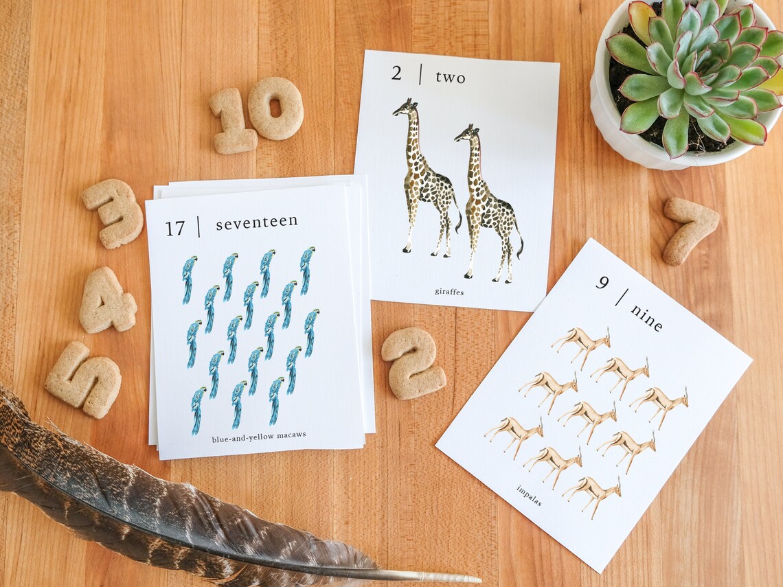 Zoo Animal Numbers 1-20 Flash Cards Montessori Counting | Etsy