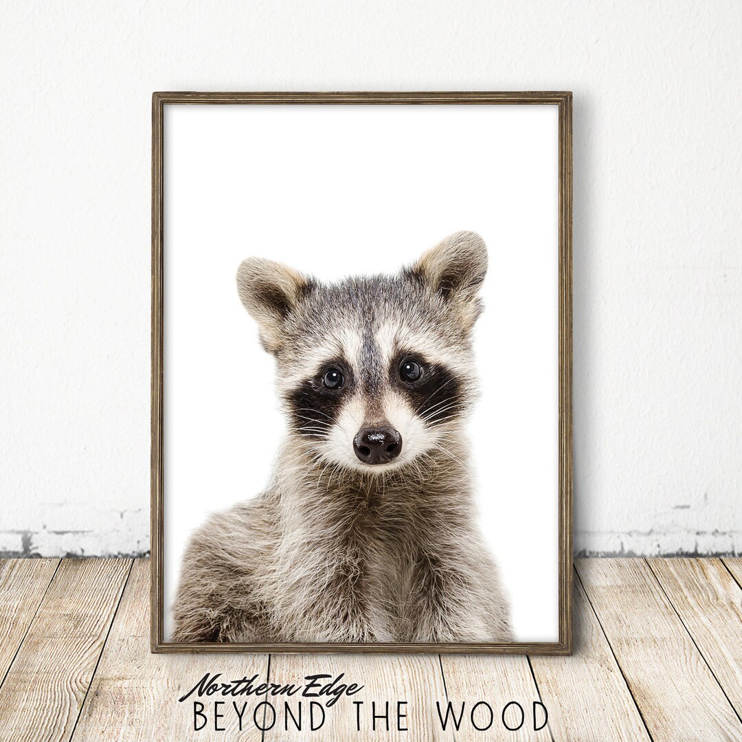 Raccoon Print, Raccoon Art, Printable Raccoon, Forest Print, Forest ...