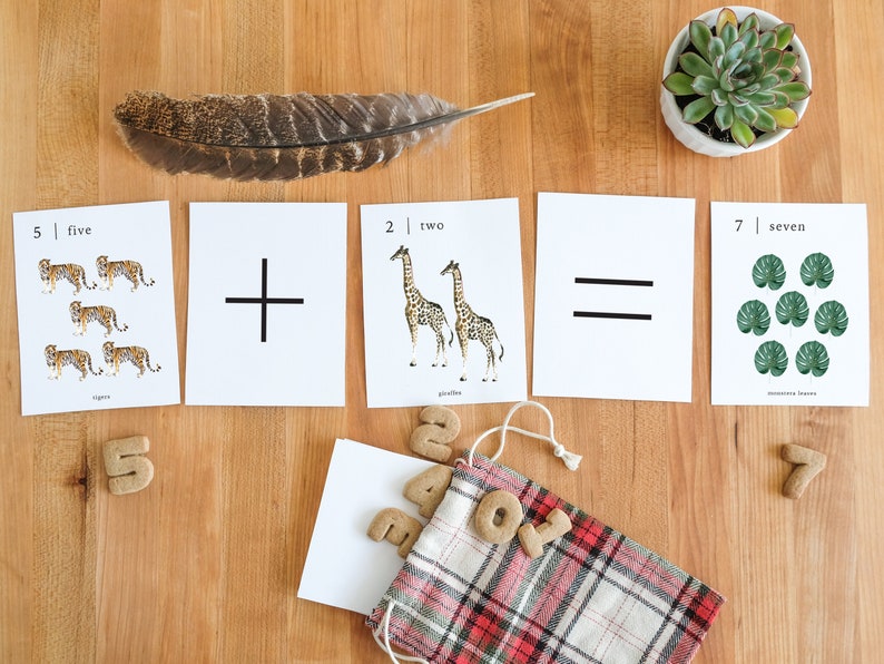 Zoo Animal Numbers 1-20 Flash Cards Montessori Counting - Etsy