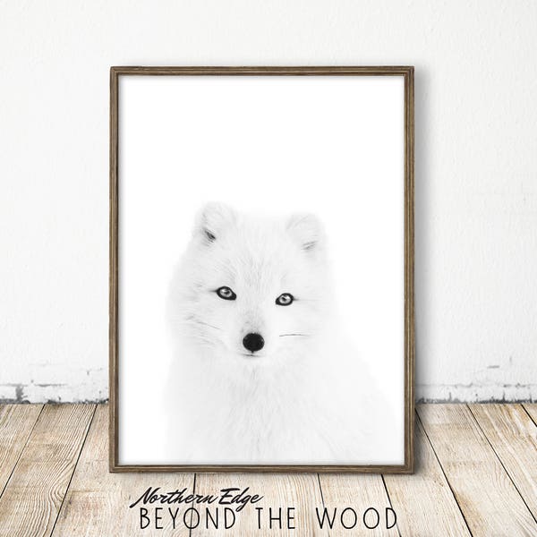 White Fox - Etsy