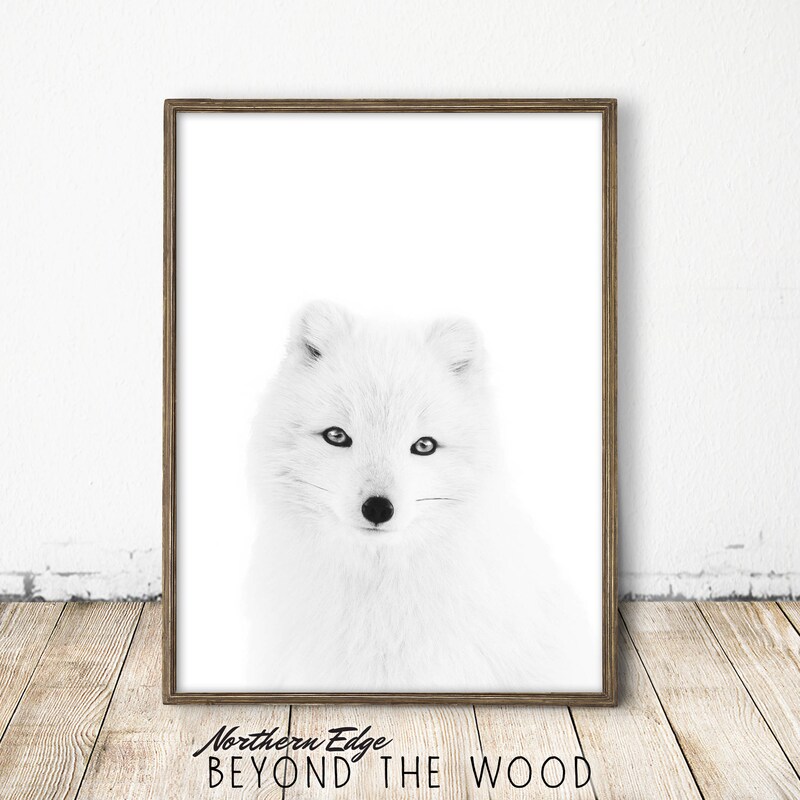 Black and White Fox - Etsy