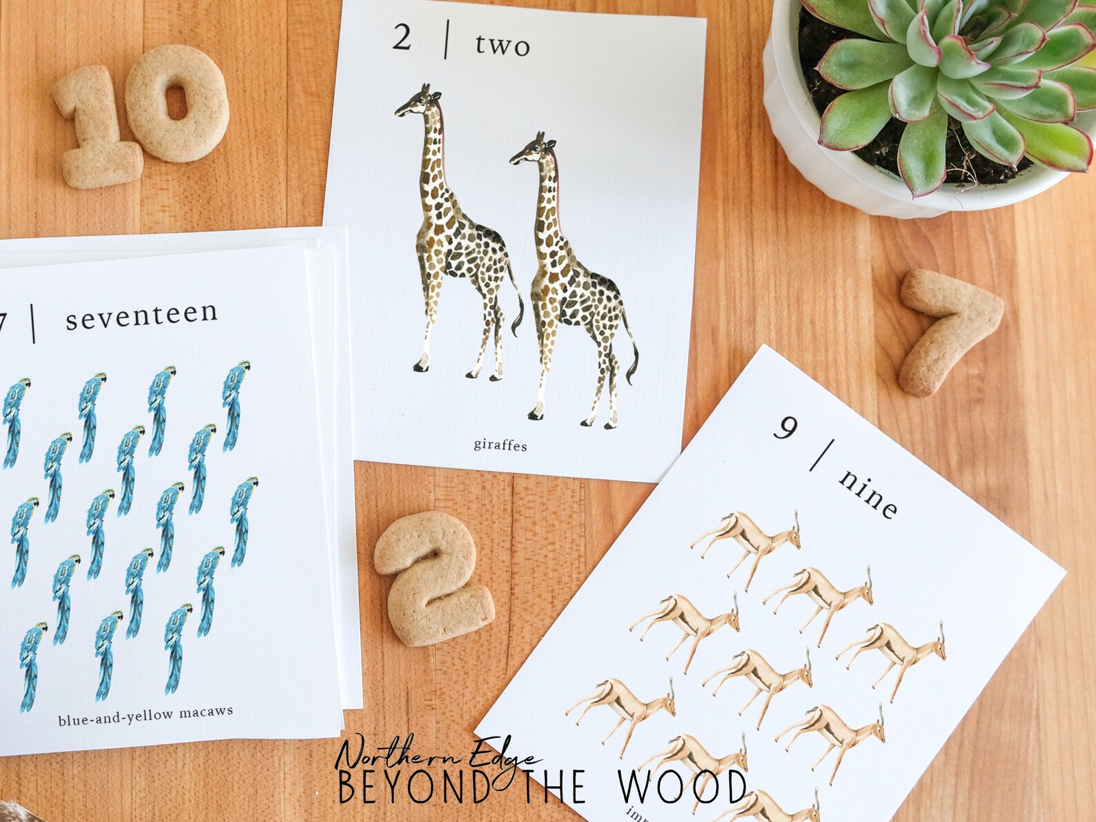 Zoo Animal Numbers 1-20 Flash Cards Montessori Counting - Etsy