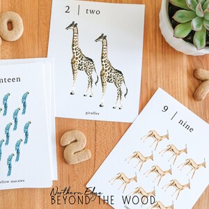 Zoo Animal Numbers 1-20 Flash Cards, Montessori Counting Printable ...