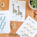 Zoo Animal Numbers 1-20 Flash Cards Montessori Counting - Etsy