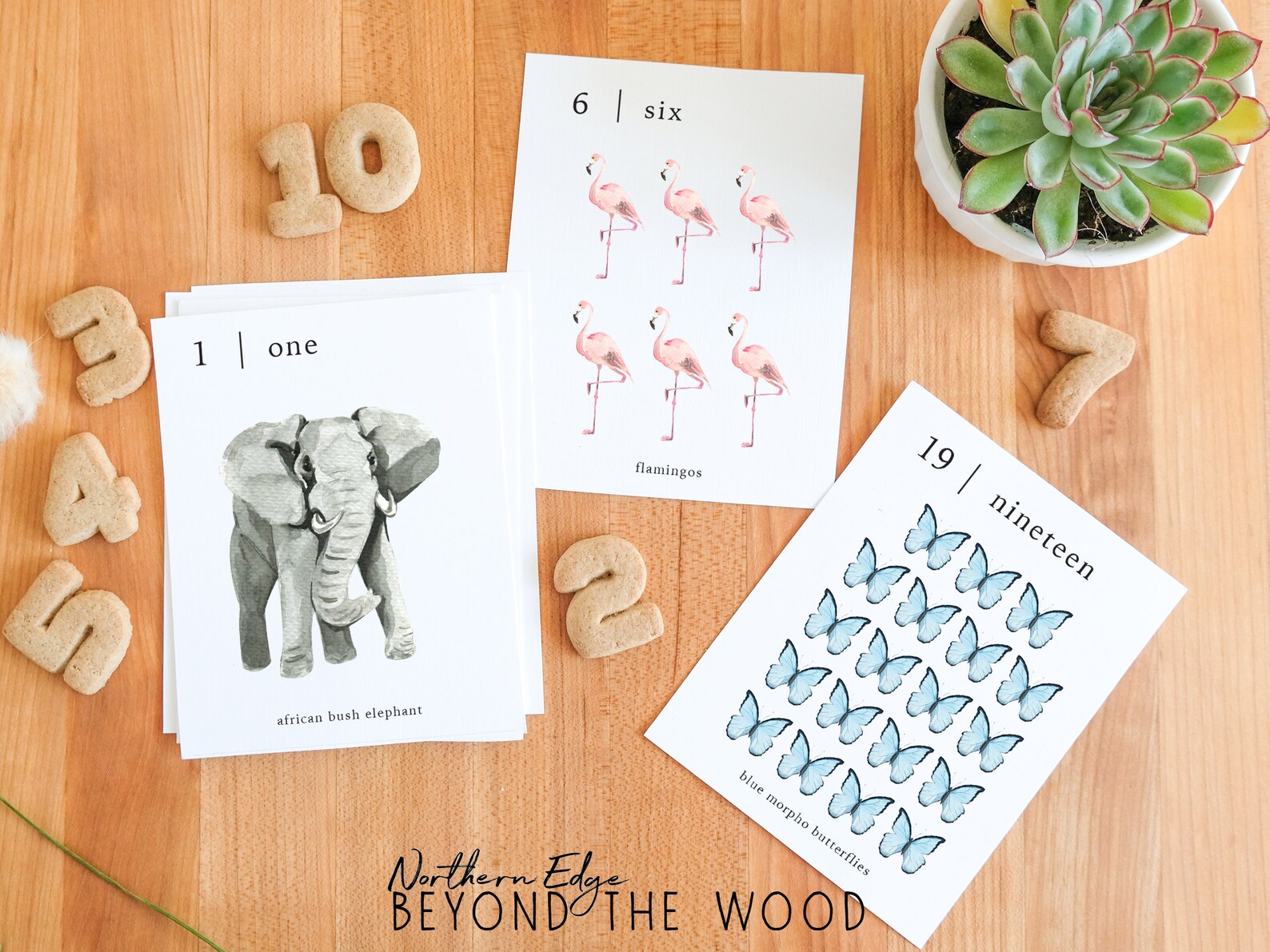 Zoo Animal Numbers 1-20 Flash Cards Montessori Counting - Etsy