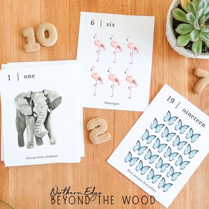 Zoo Animal Numbers 1-20 Flash Cards, Montessori Counting Printable ...