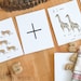 Zoo Animal Numbers 1-20 Flash Cards Montessori Counting - Etsy