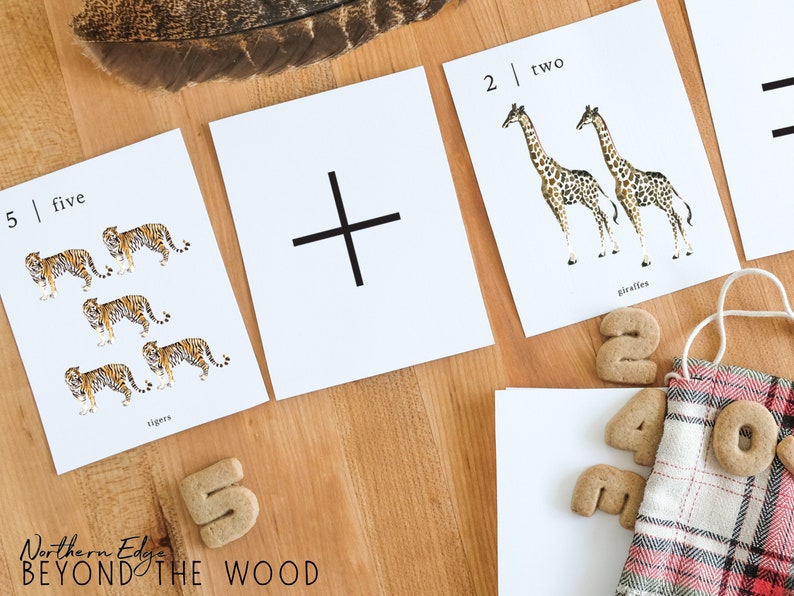 Zoo Animal Numbers 1-20 Flash Cards Montessori Counting - Etsy